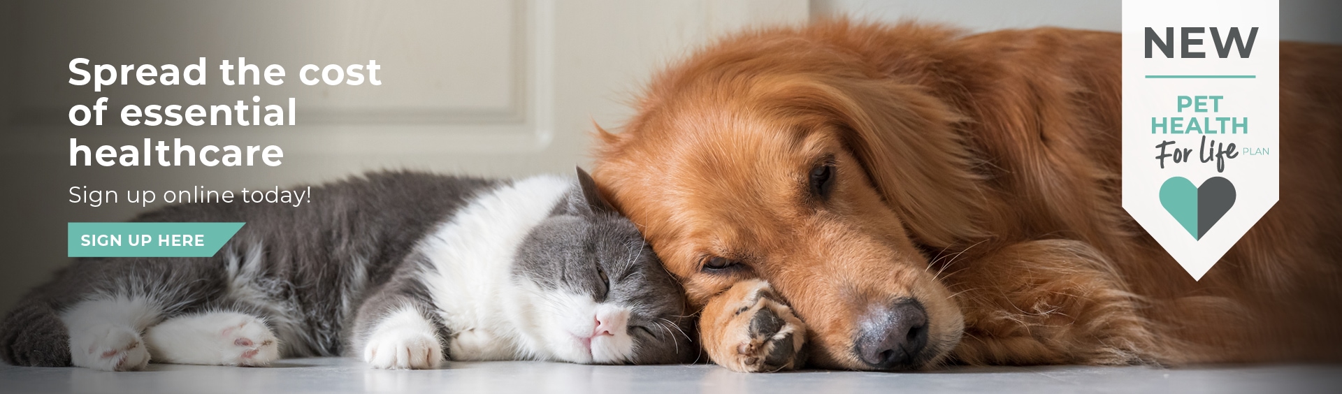 Snodland Vets | Vets in Kent | Sandhole Veterinary Centre